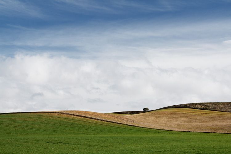 curvas sinuosas - Reflejandome Fotografía